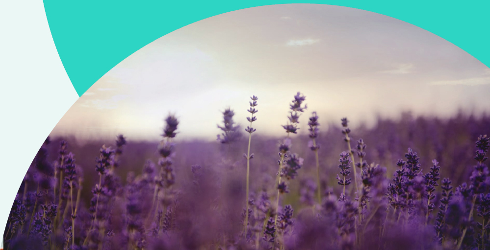 Grieving an Addiction Loss